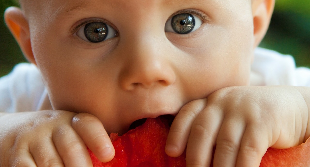 Rapley methode of Baby Led Weaning